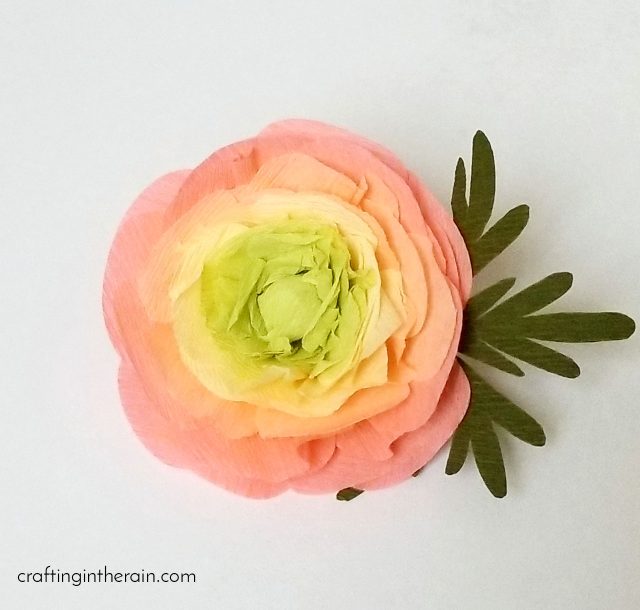 How to Make Crepe Paper Ranunculus - Crafting in the Rain